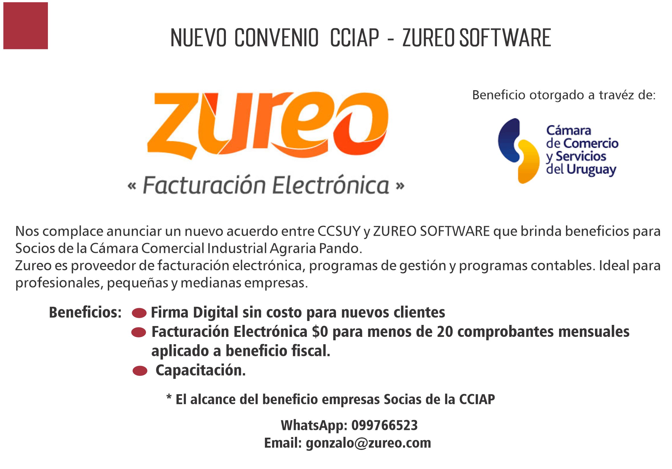 NUEVO CONVENIO ZUREO FACTURACIÓN ELECTRÓNICA - Charla Informativa ...